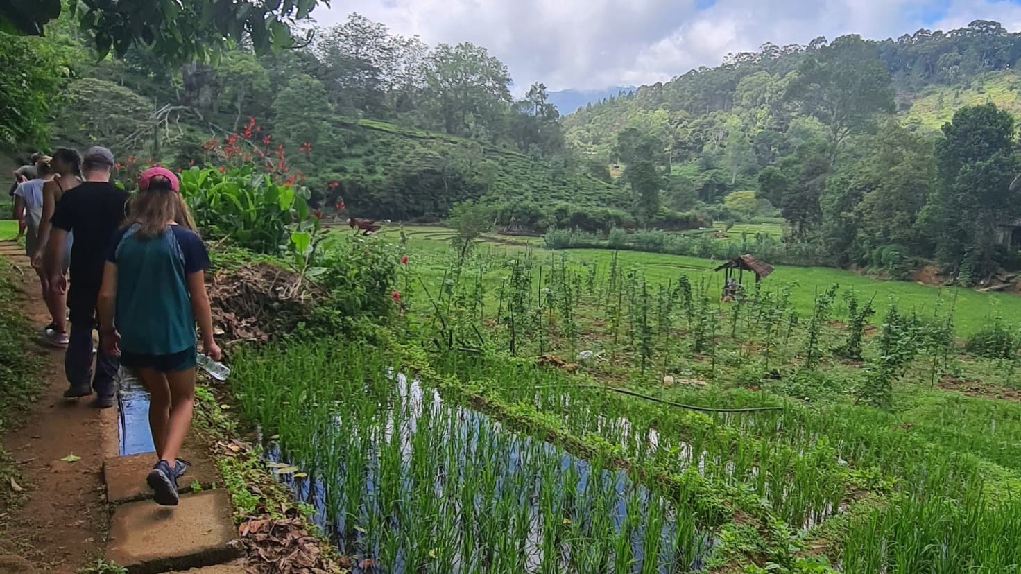 Hiking Ella Rock, Sri Lanka: A Simple Self-Guided Route